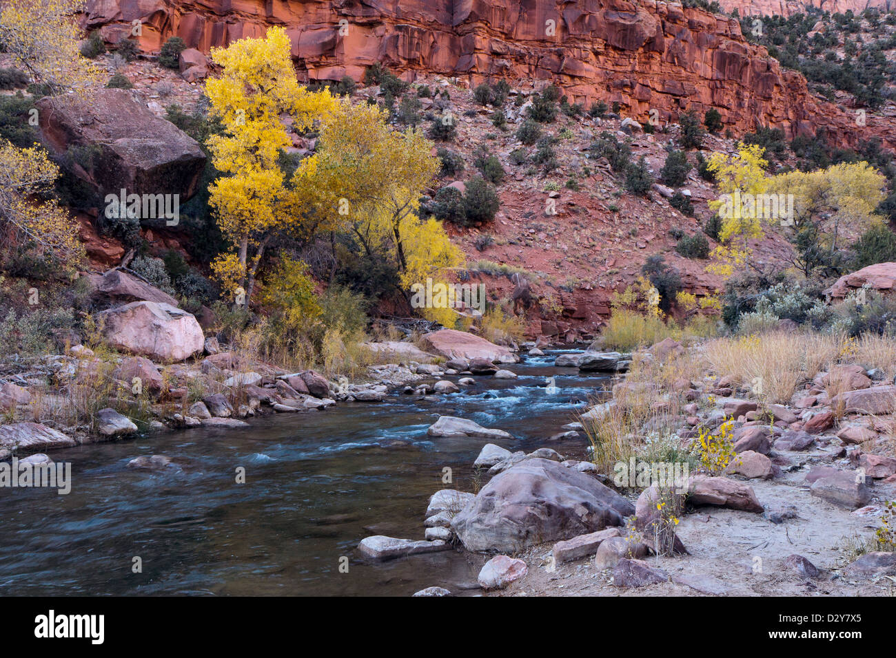 Autumn colours zion hi-res stock photography and images - Alamy