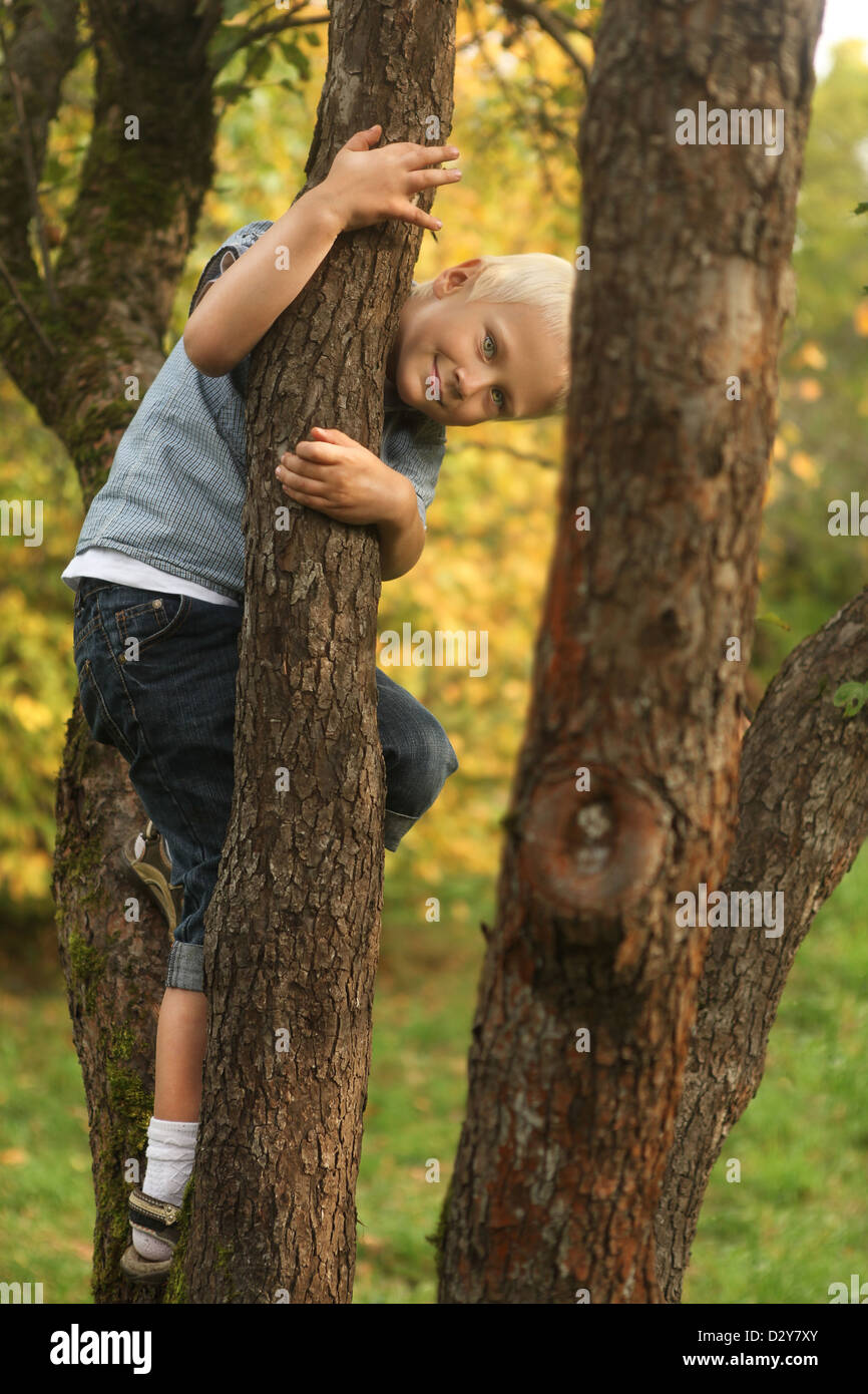 Smiling blond six-year boy in a tree in an autumn park. The boy is ...