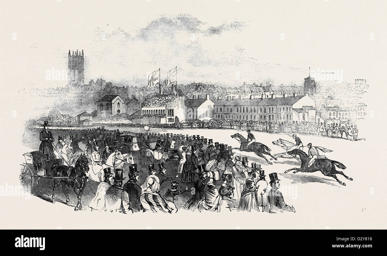 Warwick Races High Resolution Stock Photography and Images - Alamy