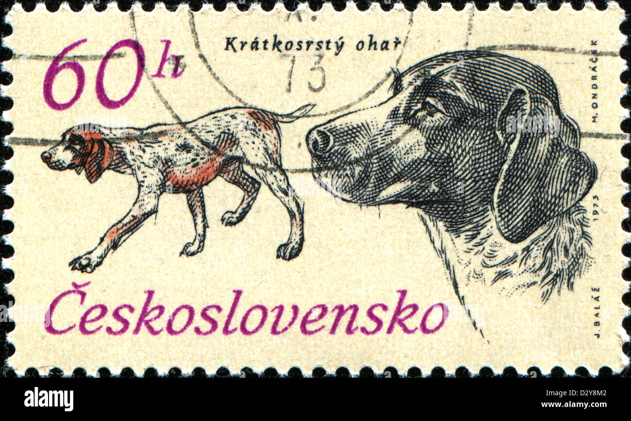 Vintage pointer dog hi-res stock photography and images - Alamy