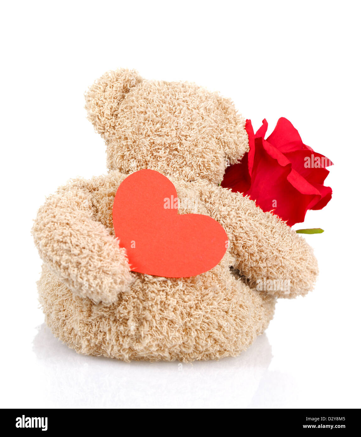 Photo of beautiful soft toy isolated on white background, back side of ...