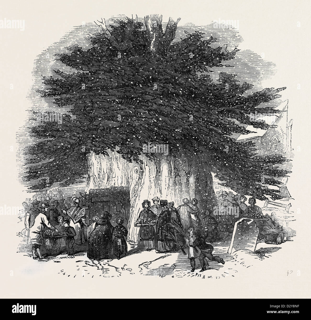 Crowhurst hi-res stock photography and images - Alamy