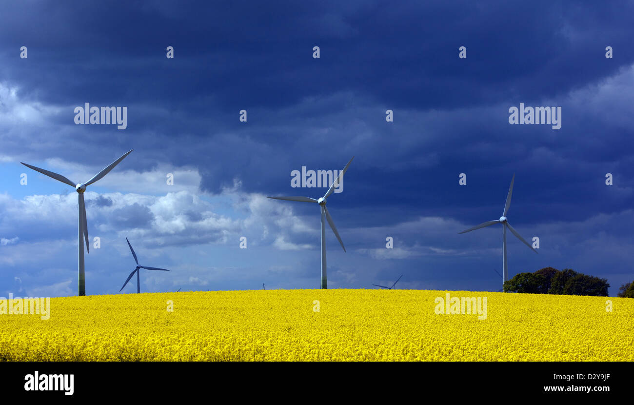 Groemitz, Germany, wind power wheels behind a canola field against a ...