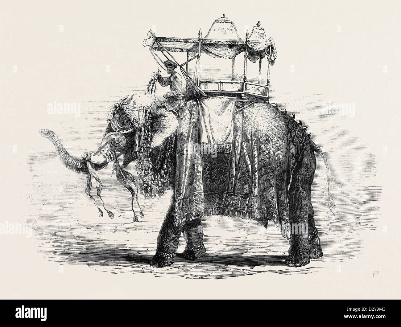 ELEPHANT WITH STATE HOWDAH AT BARODA Stock Photo - Alamy