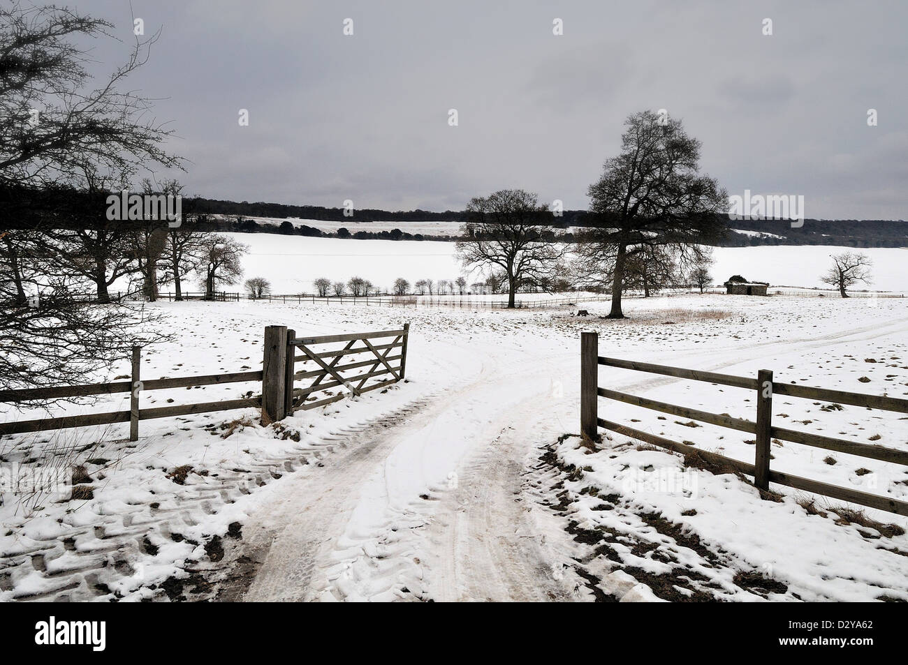 Guildford in the snow hi-res stock photography and images - Alamy