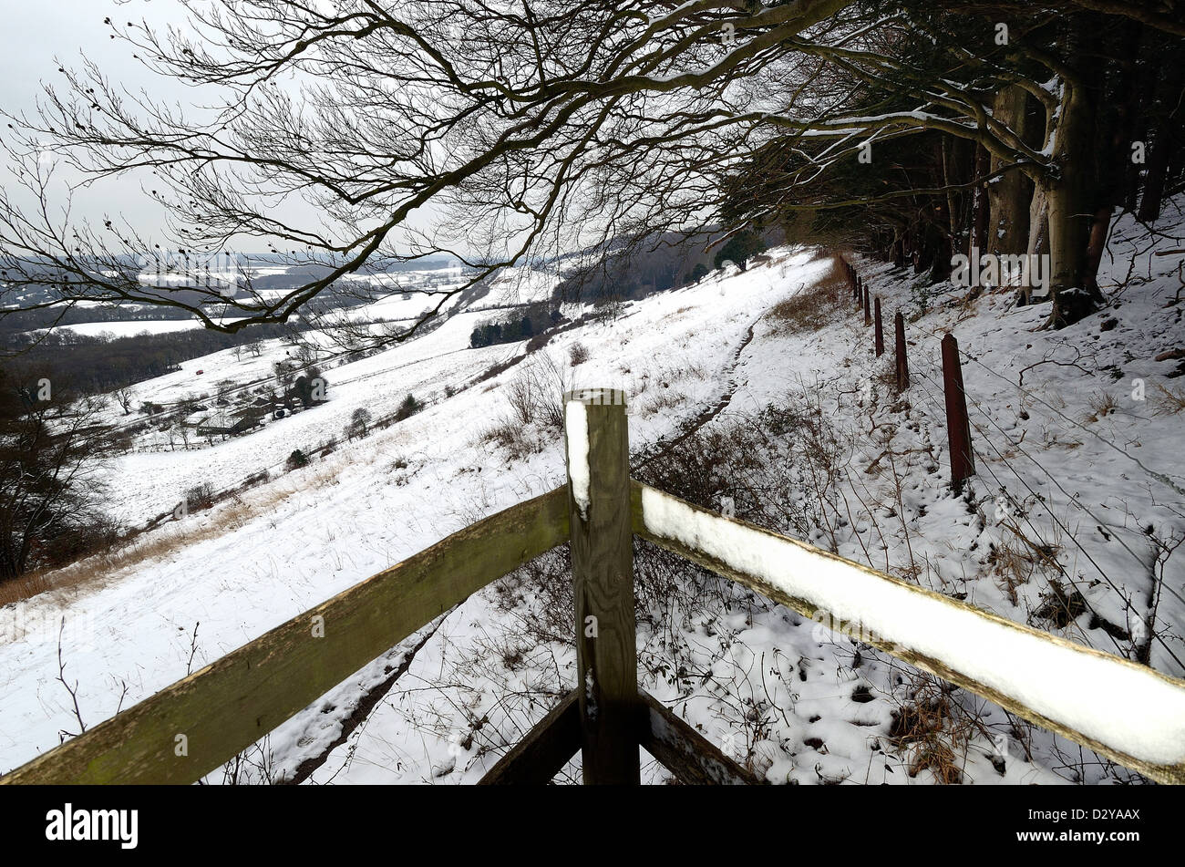 Winter landscape at Ranmore Common Dorking Surrey Stock Photo - Alamy