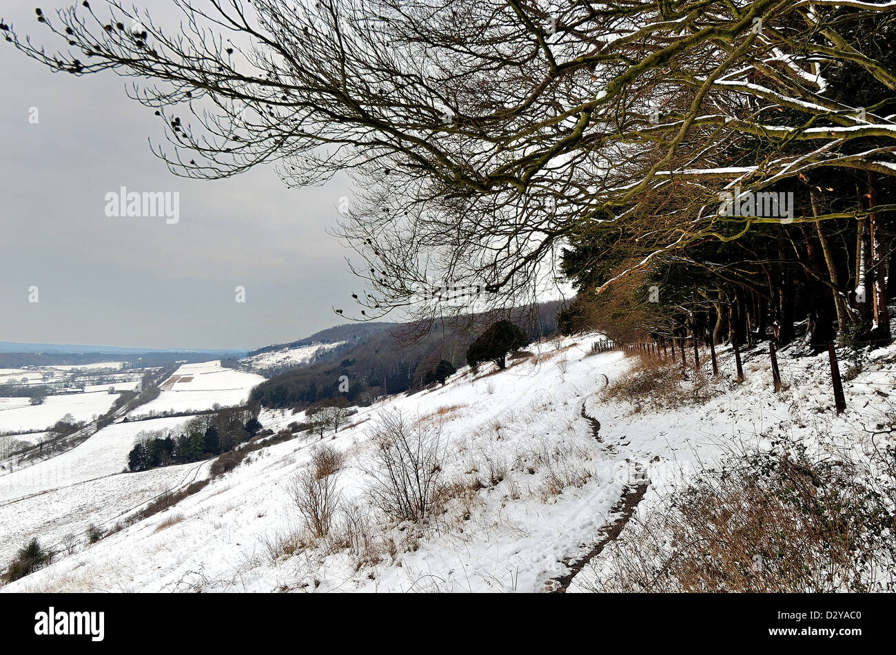 Winter landscape at Ranmore Common Dorking Surrey Stock Photo - Alamy