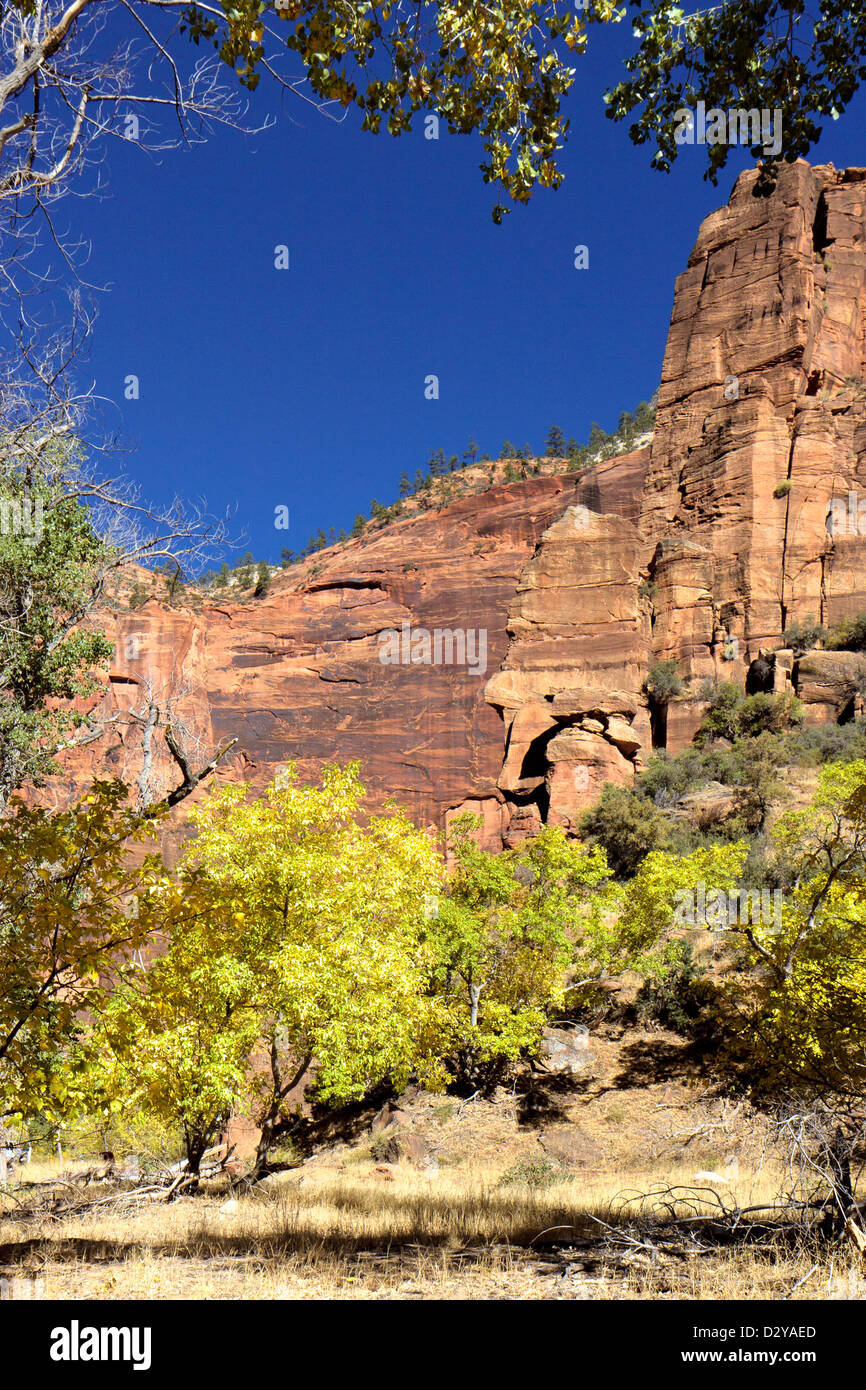 Natural popular conservation valley hi-res stock photography and images ...