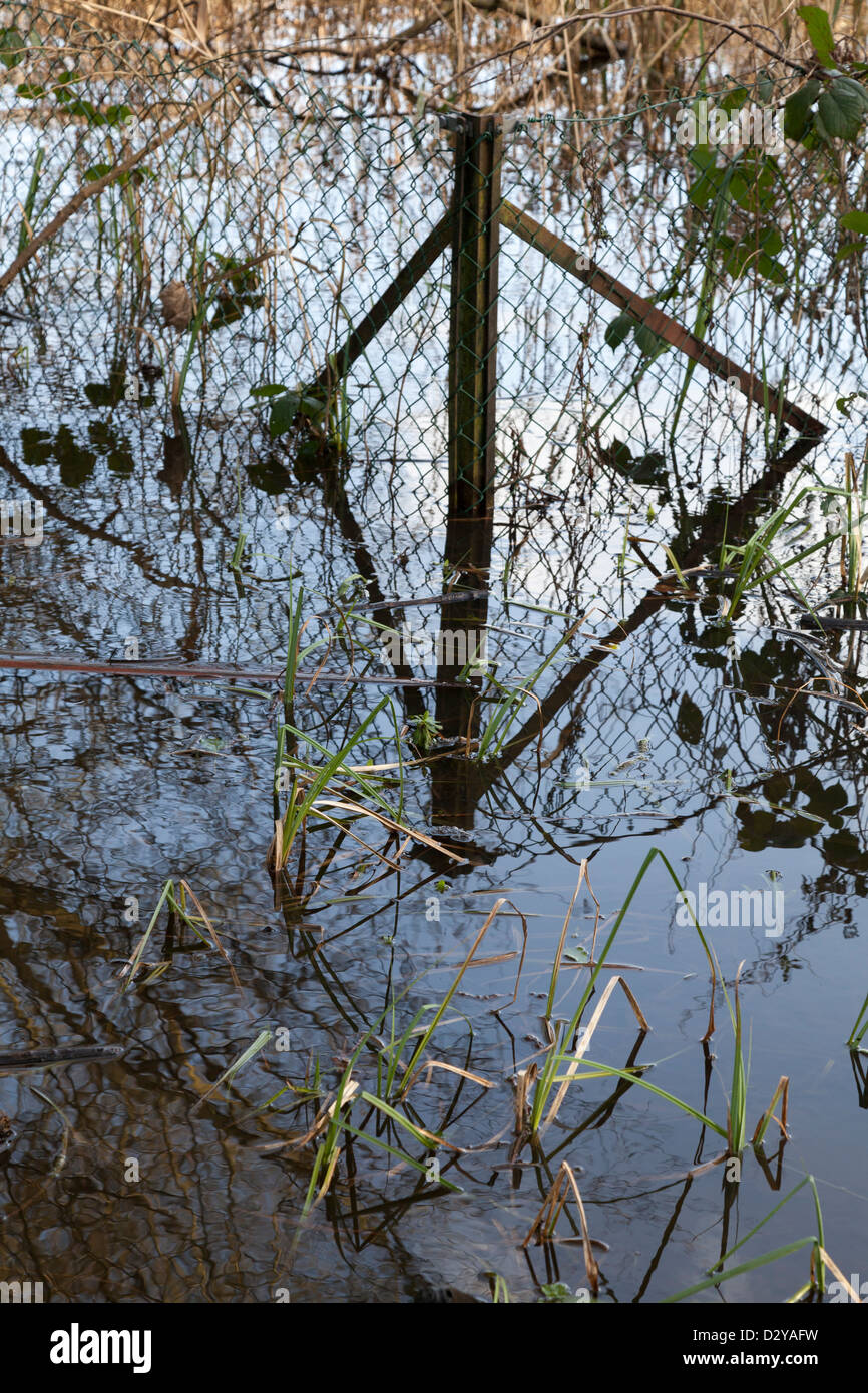 picturesque view of fence and chain link partially submerged in lake ...