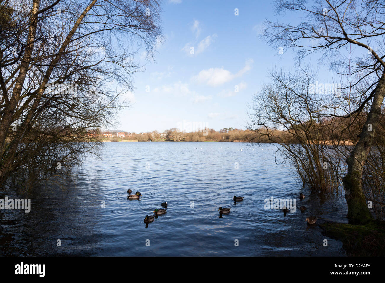 Petersfield lake the heath hi-res stock photography and images - Alamy