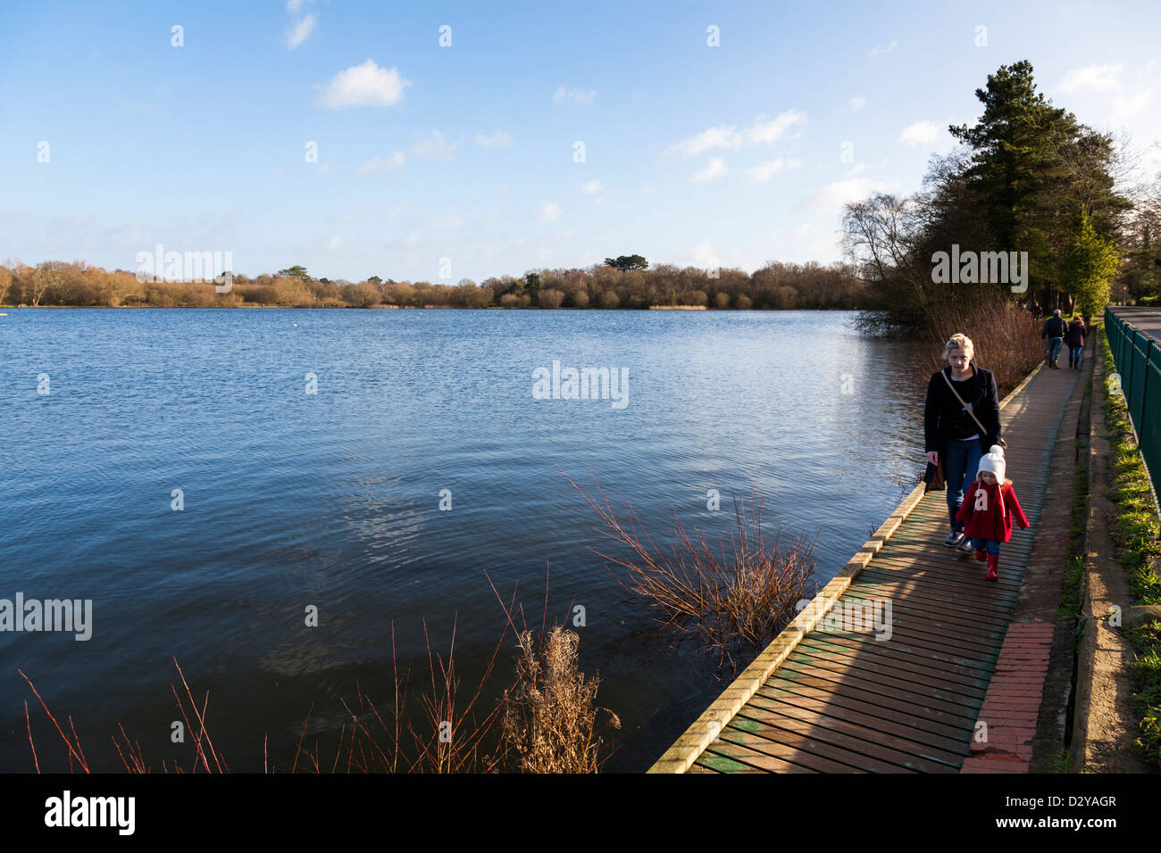 Mother and toddlet walking on board path at edge of Petersfield Lake ...