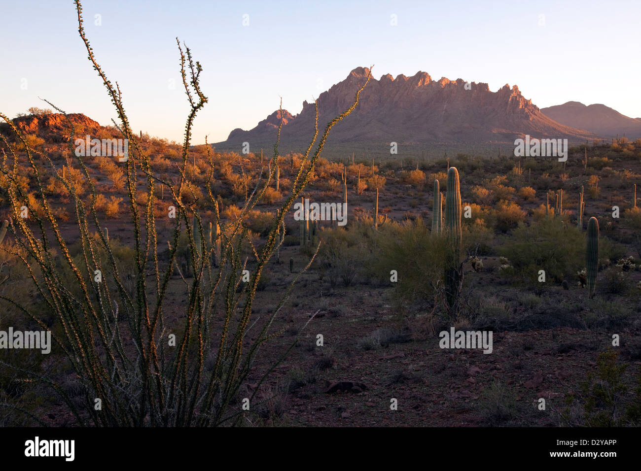 Ragged hi-res stock photography and images - Alamy