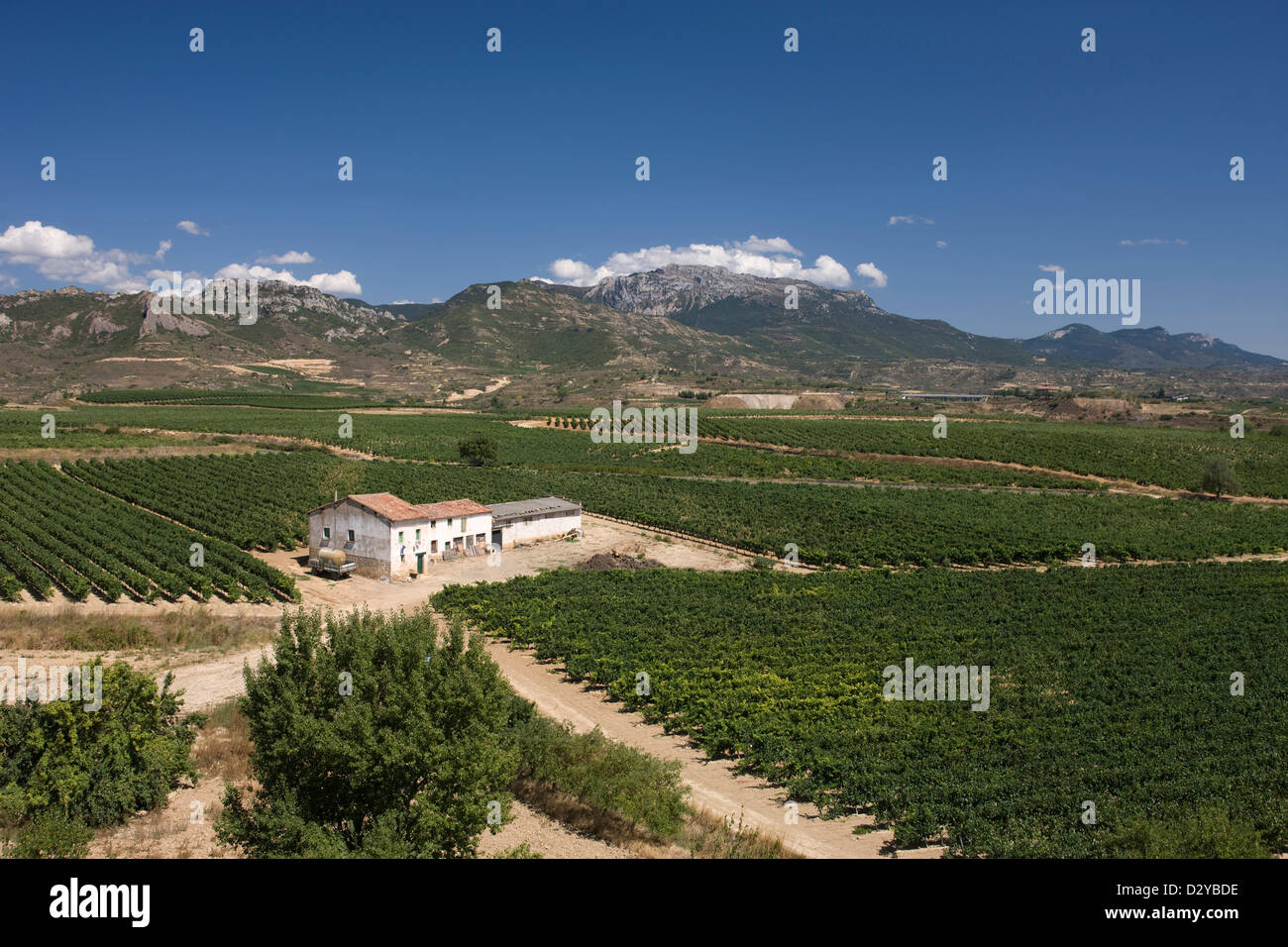 OVERLOOK VINEYARDS RIOJA WINE REGION LA RIOJA SPAIN Stock Photo - Alamy