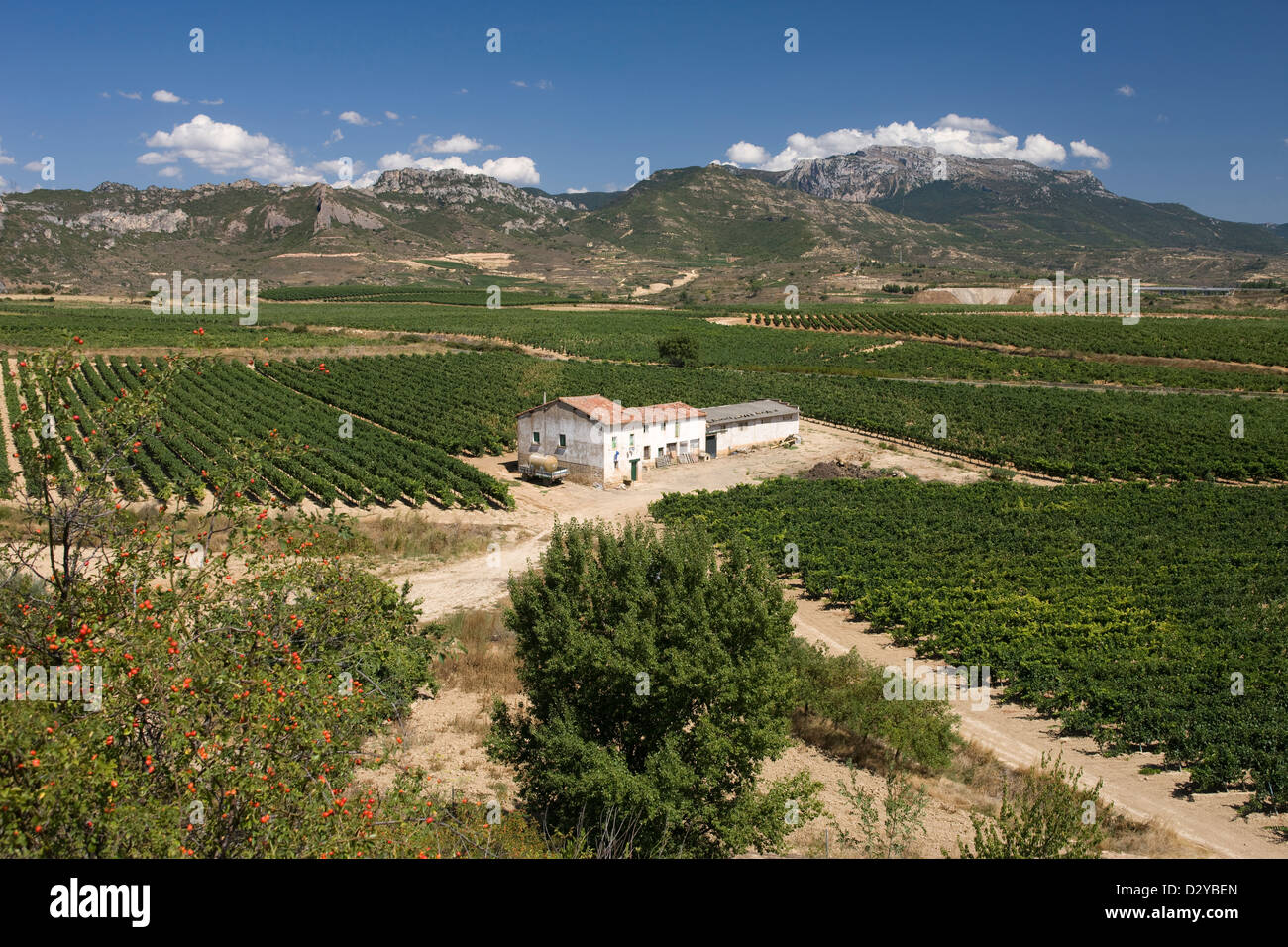 La rioja spain hi-res stock photography and images - Alamy