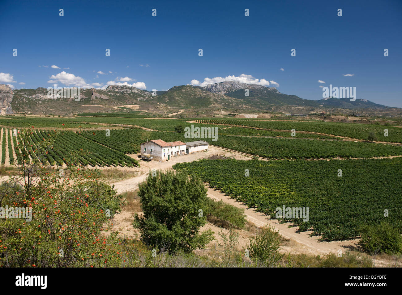 La Rioja Spain Stock Photos & La Rioja Spain Stock Images - Alamy
