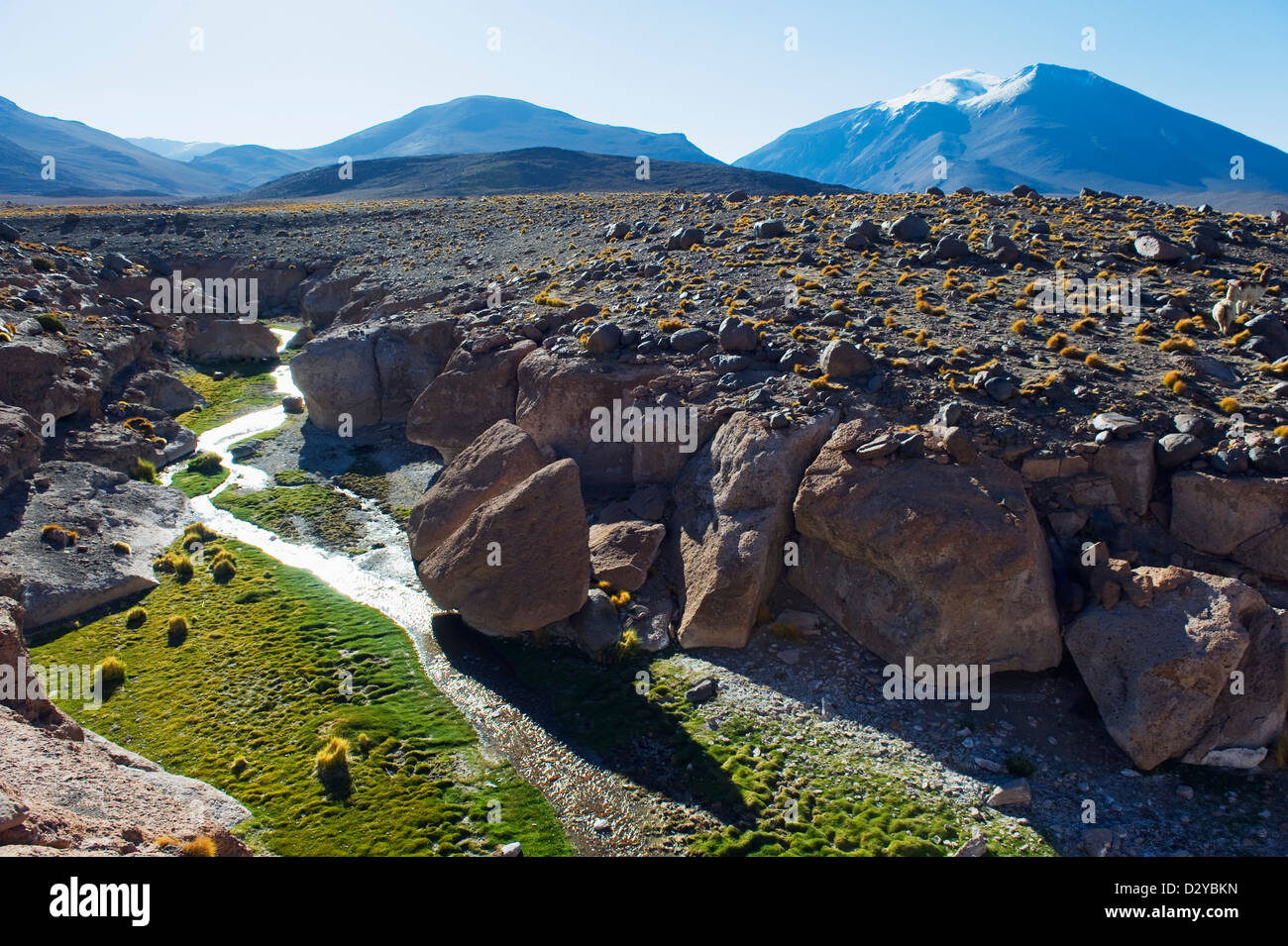 Eduardo Avaroa Andean National Reserve, Bolivia, South America Stock ...