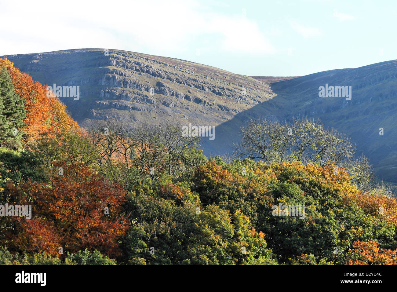 Autumn trees and the limestone rocks of Eglwyseg mountain Llangollen ...