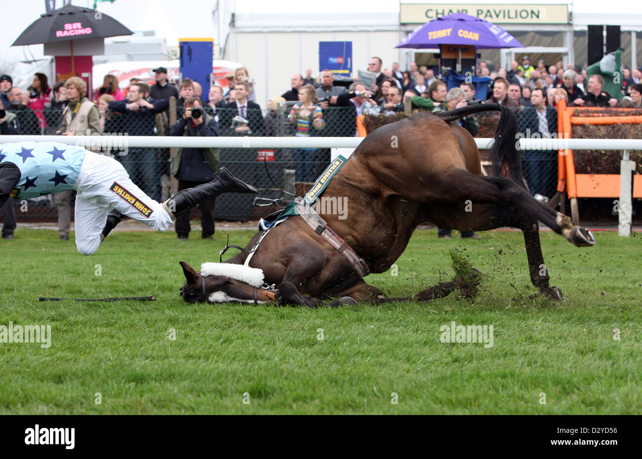Liverpool, UK, Horse and Jockey overthrow the horse race Stock Photo ...