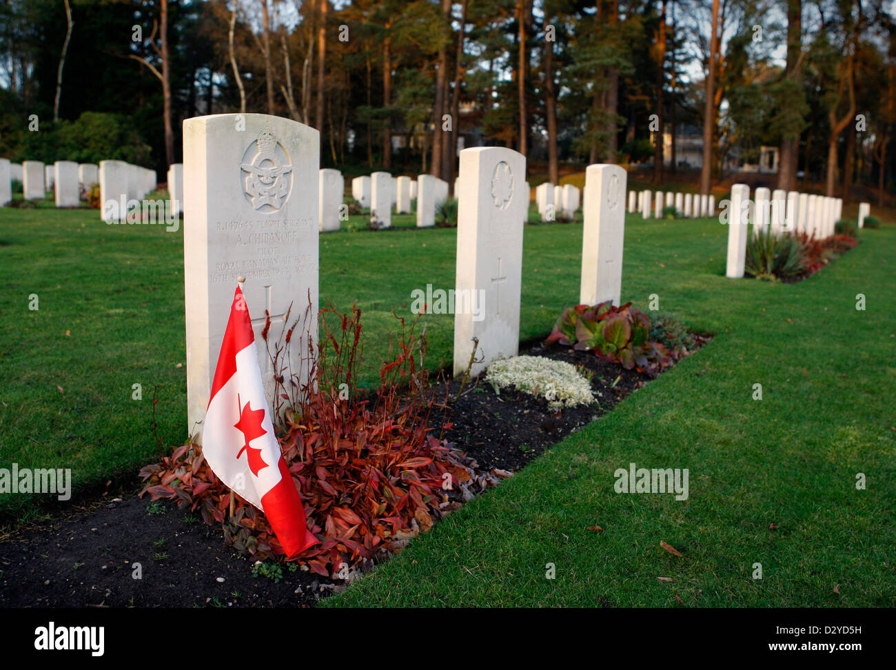 Memorial war graves brookwood cemetery hi-res stock photography and ...