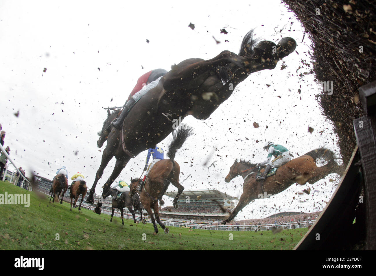 Grand national jump horses hi-res stock photography and images - Alamy