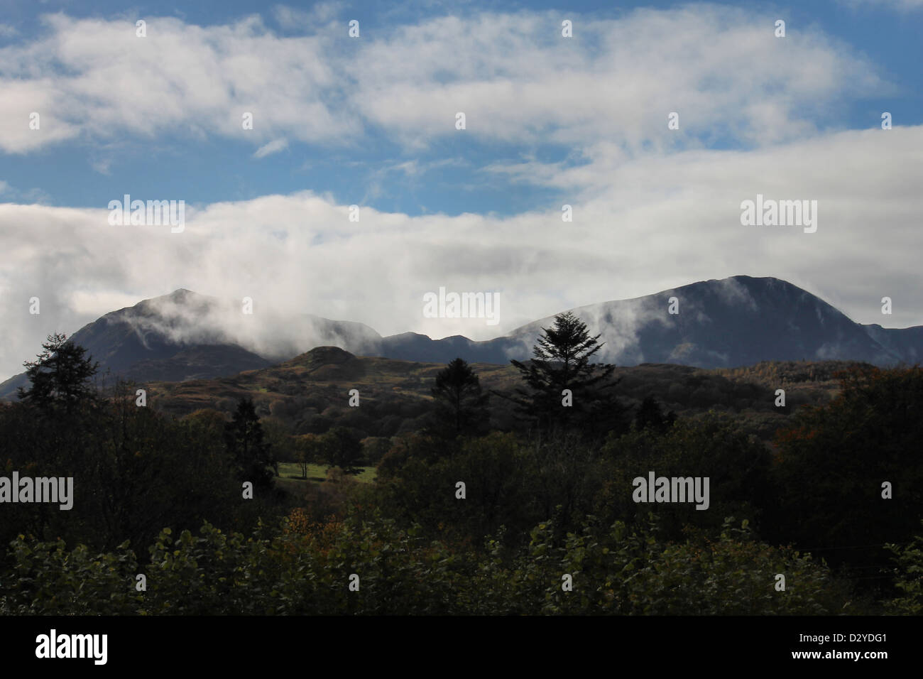 Brithdir High Resolution Stock Photography and Images - Alamy