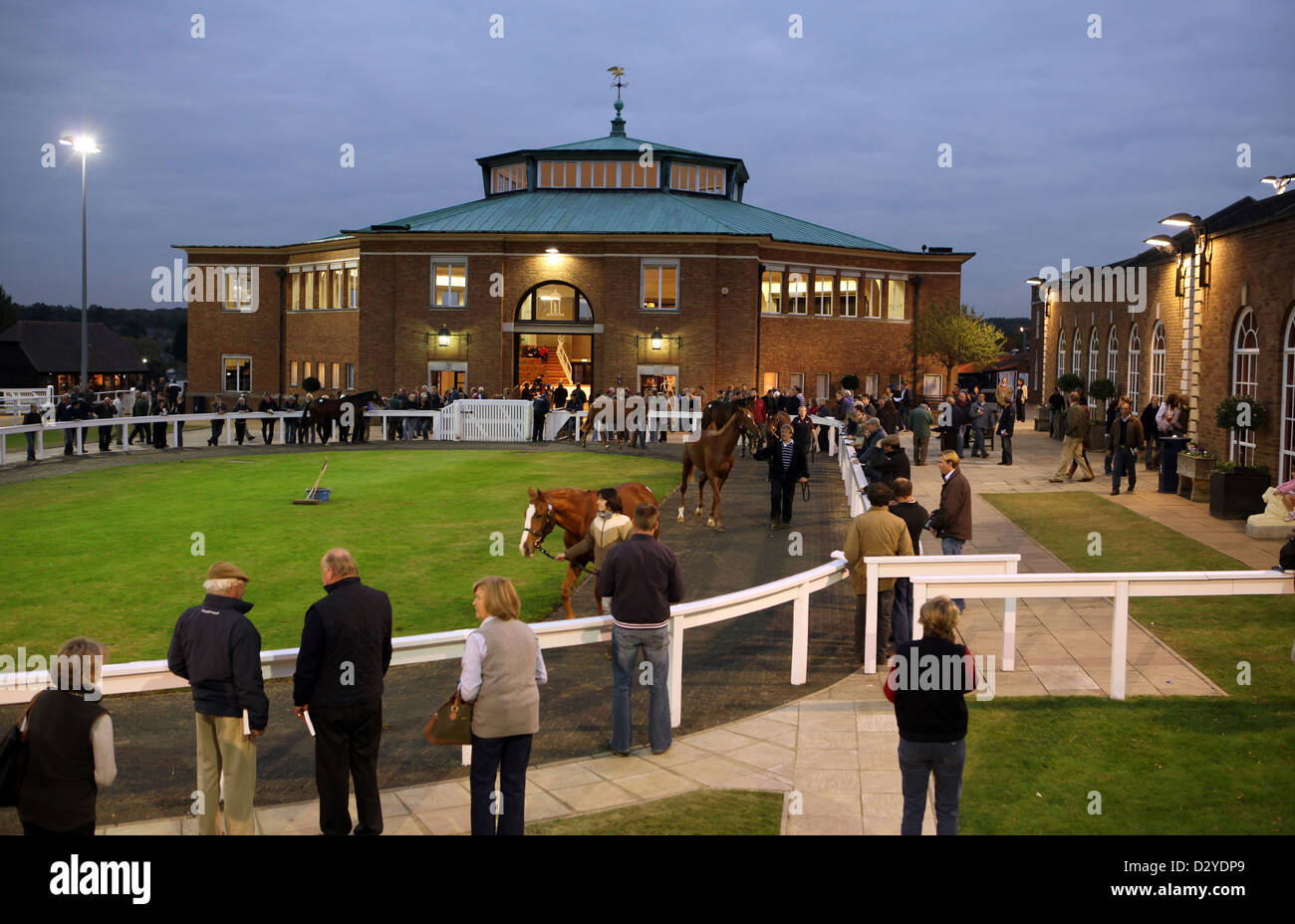 Newmarket, UK, the auction hall by Tattersalls at dusk Stock Photo - Alamy