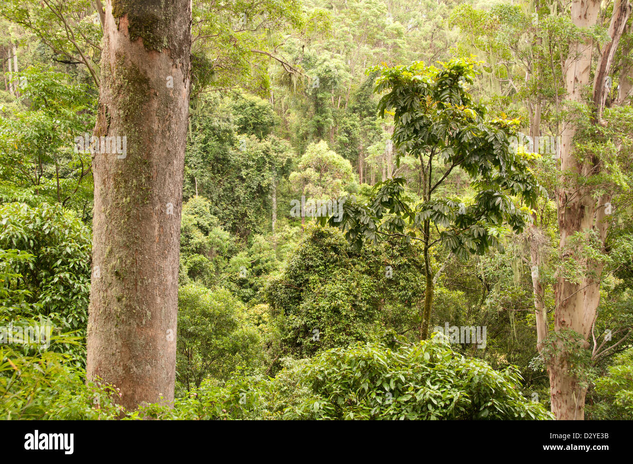 Equator border hi-res stock photography and images - Alamy