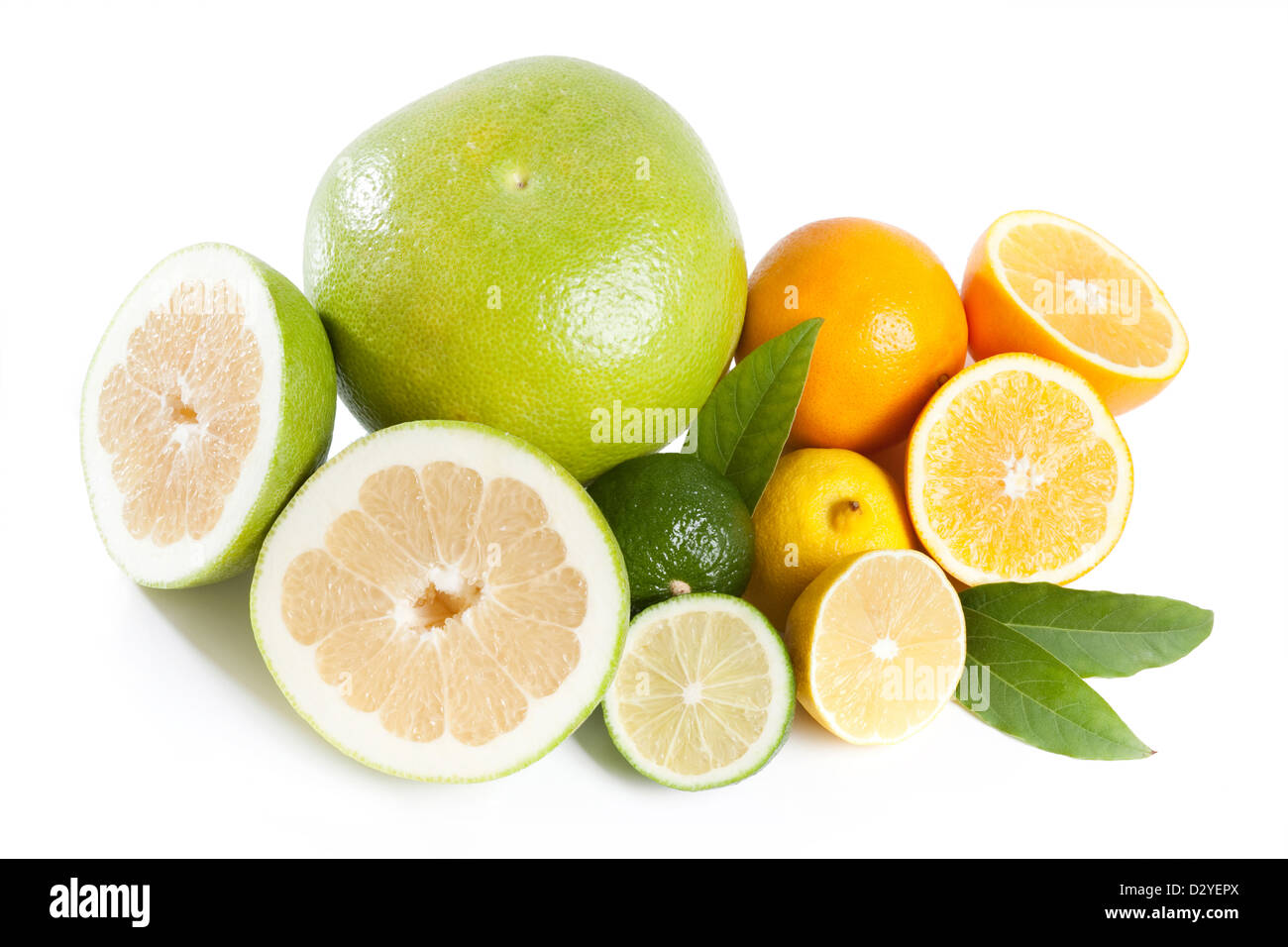 Citrus collection hi-res stock photography and images - Alamy