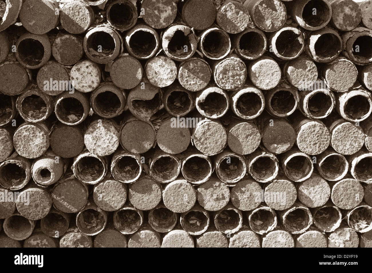 Shell casings hi-res stock photography and images - Alamy