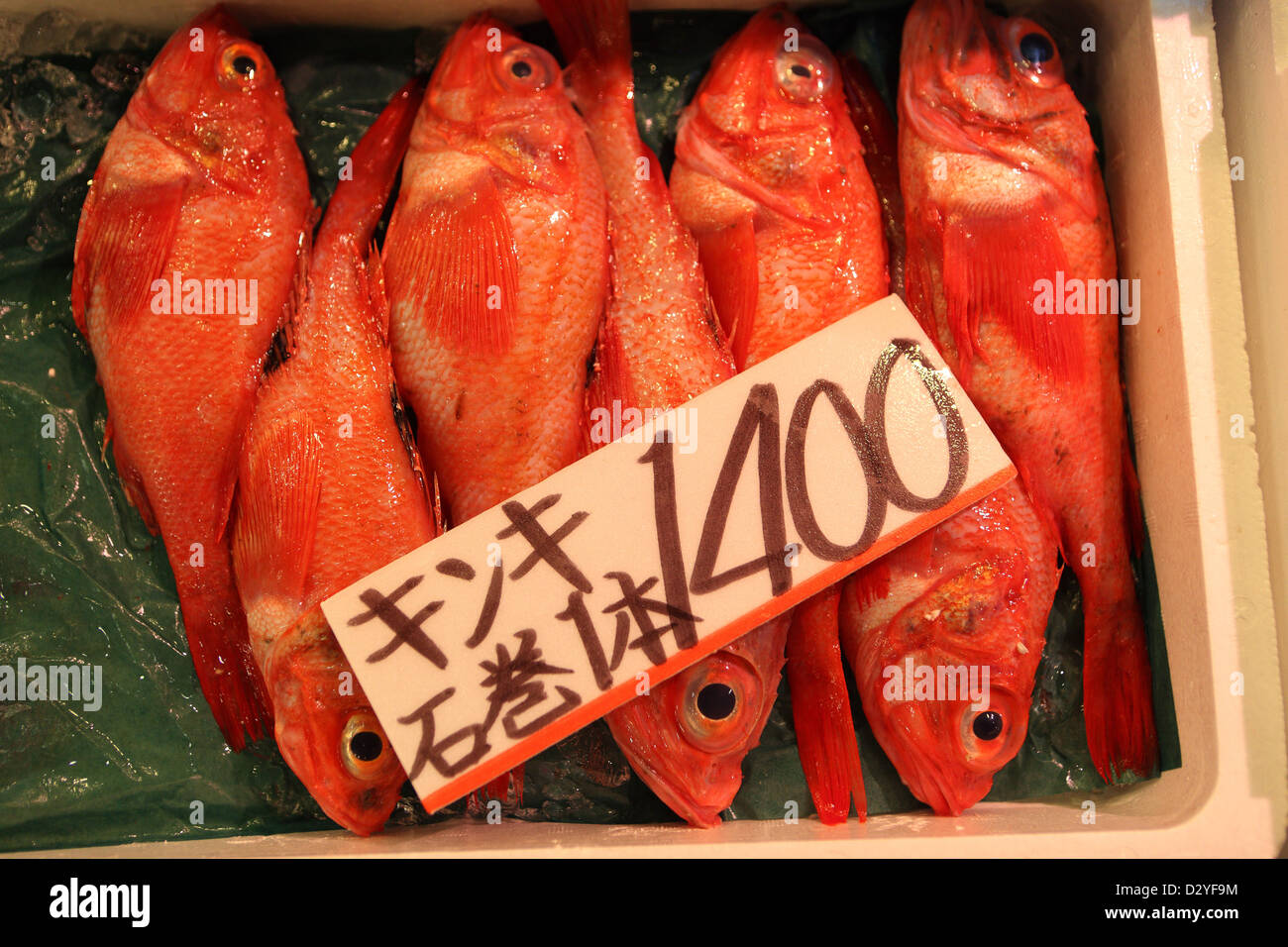 Tokyo, Japan, freshly caught red snapper Stock Photo - Alamy