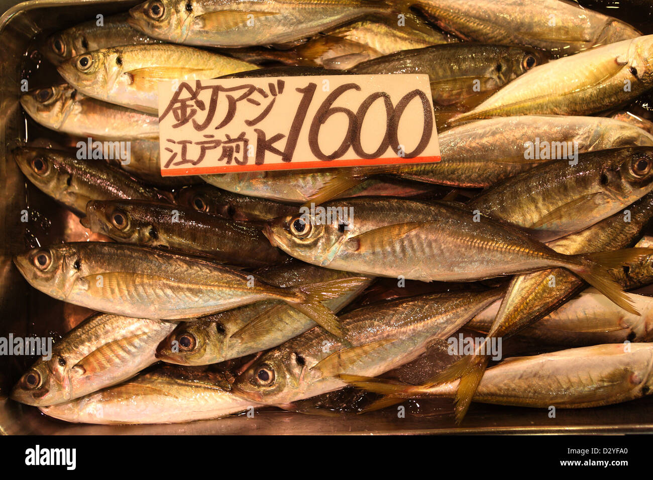 Marine life of japan hi-res stock photography and images - Alamy