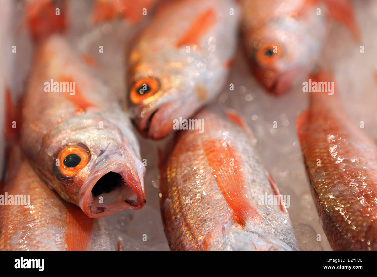 Tokyo, Japan, fresh fish Stock Photo - Alamy