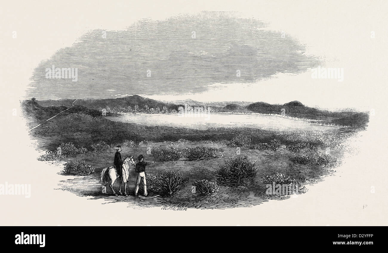 SITE OF A PROPOSED CAMP AT WOOLMER FOREST Stock Photo - Alamy