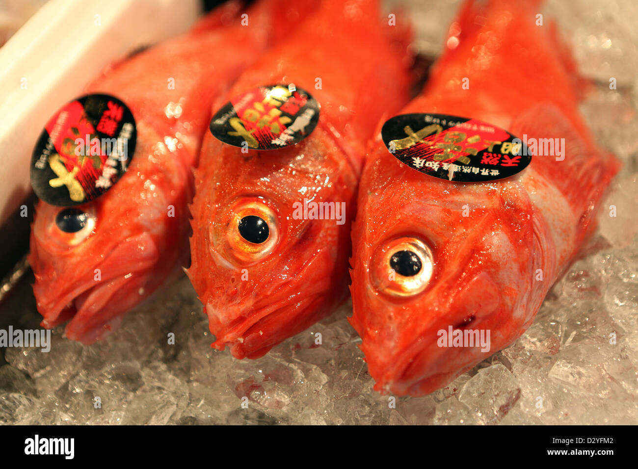 Tokyo, Japan, freshly caught red snapper Stock Photo - Alamy