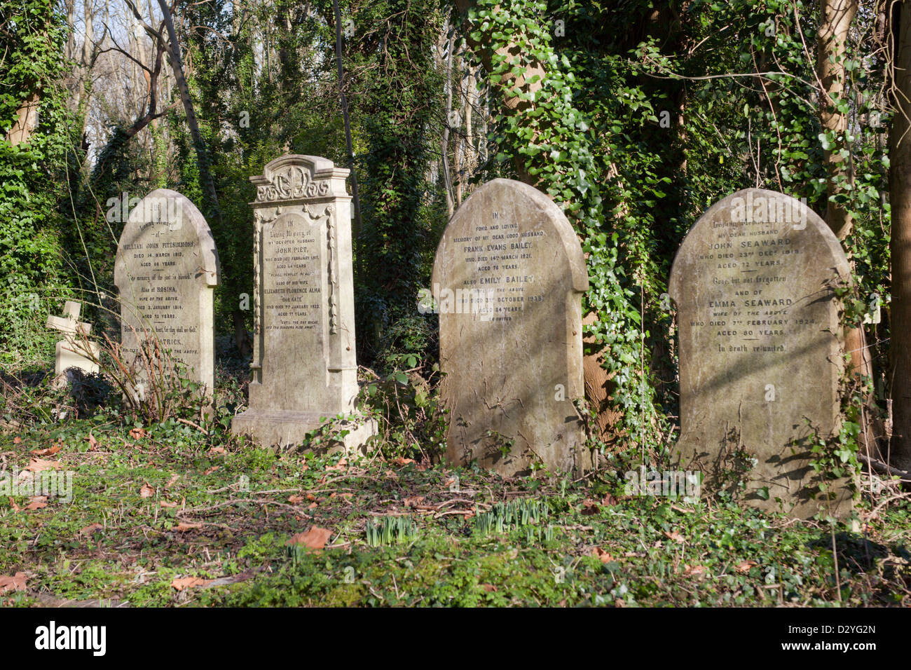 Gravestones and memorials in Highgate Cemetery, east side, London Stock ...