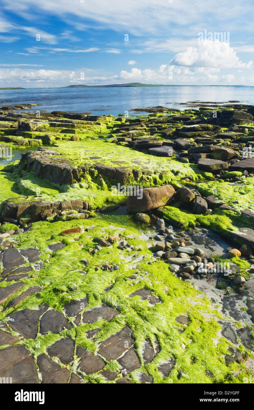 Northern tip of the island hi-res stock photography and images - Alamy