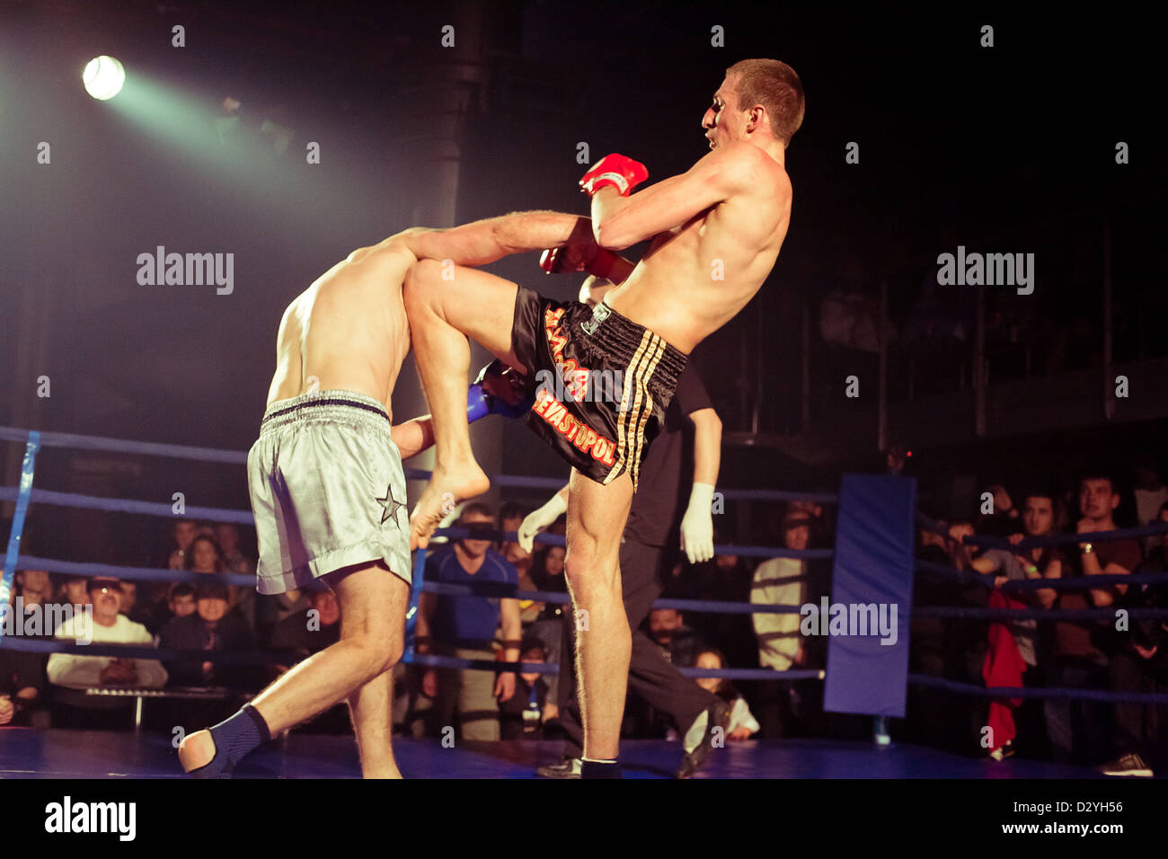 Ukrainian championship MIX FIGHT Stock Photo - Alamy