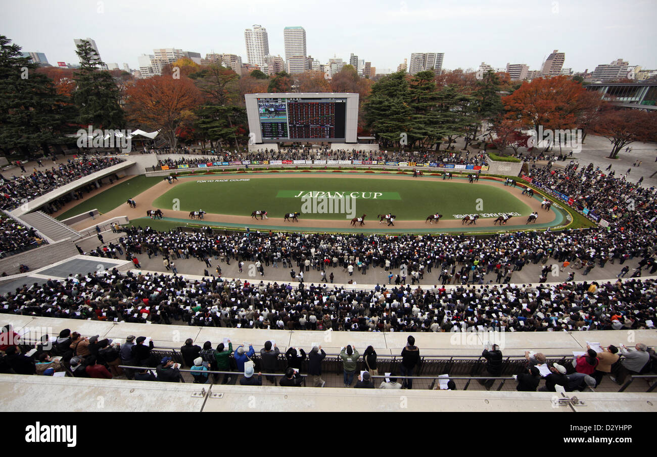 Tokyo, Japan, overlooking the Fuehrring the racecourse Fuchu Stock ...