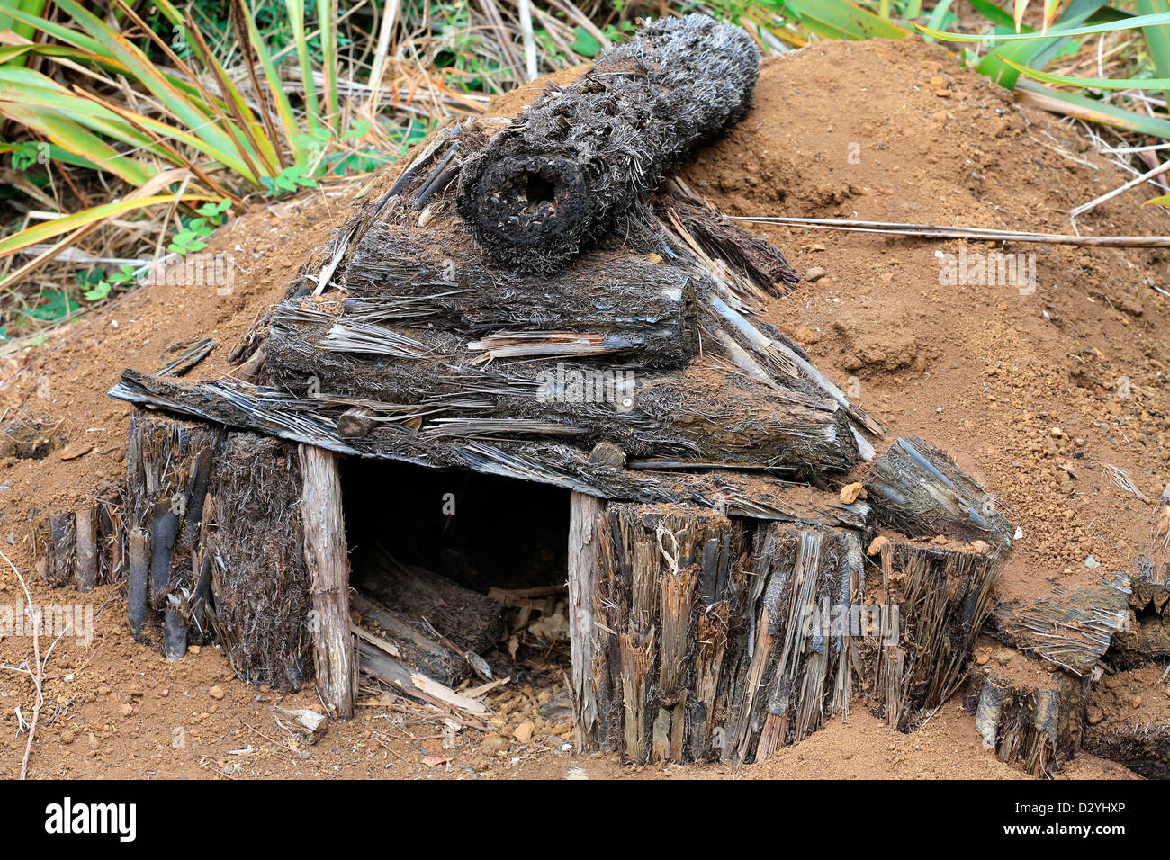 Traditional Maori kumara pit on display at the Waitangi Treaty grounds ...
