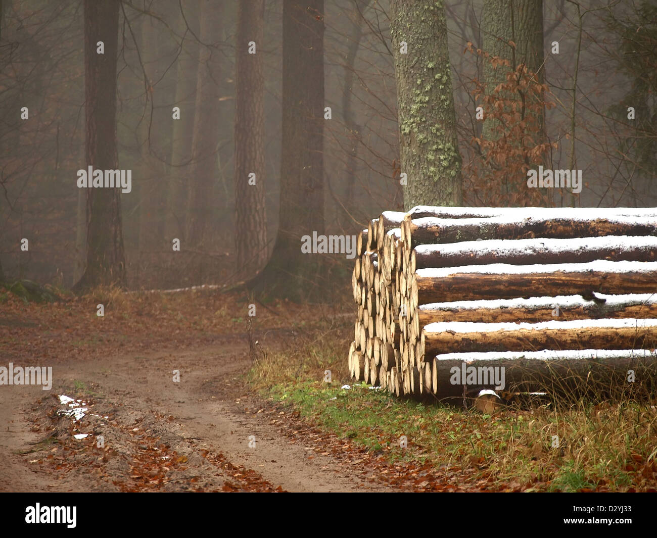 Finger dumbbells hi-res stock photography and images - Alamy