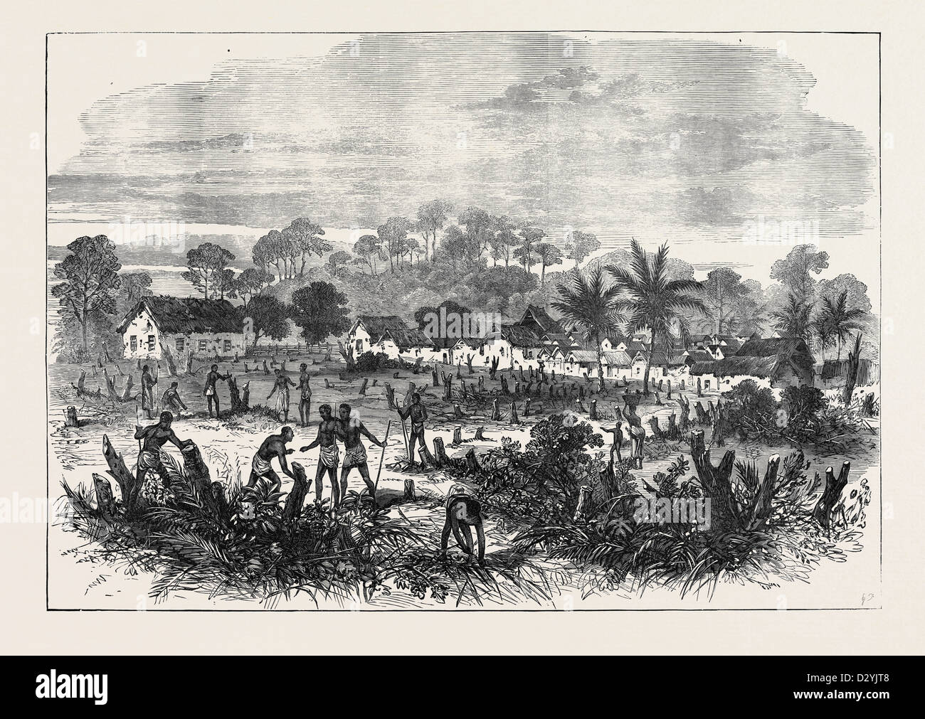 Ashantee war hi-res stock photography and images - Alamy