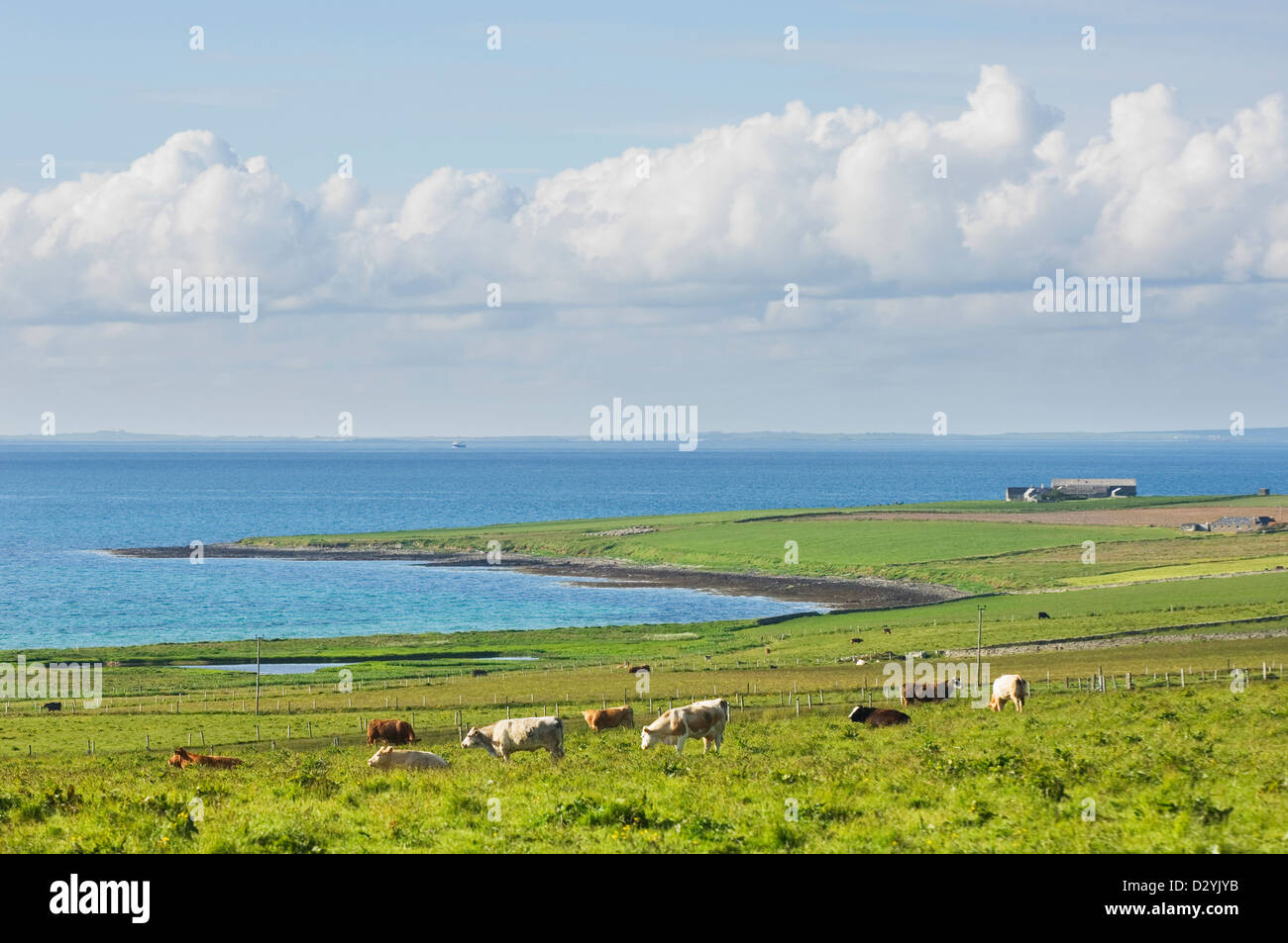 Shapinsay hi-res stock photography and images - Alamy