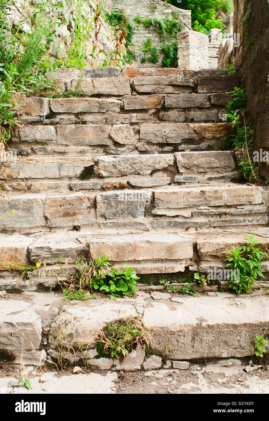 Old ancient stone stairs in the pack Stock Photo - Alamy