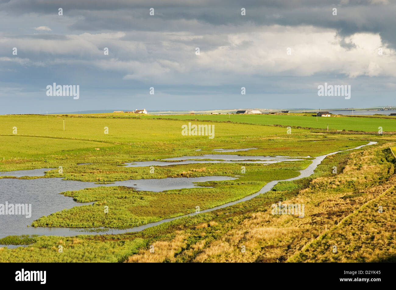 Shapinsay nature hi-res stock photography and images - Alamy