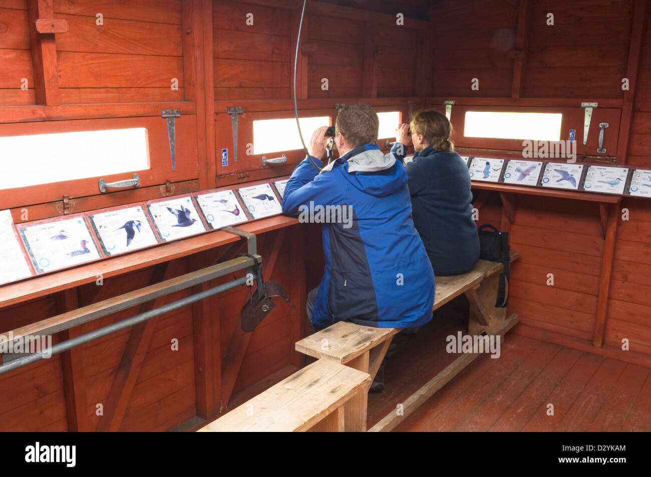 Birds chart identification bird hi-res stock photography and images - Alamy