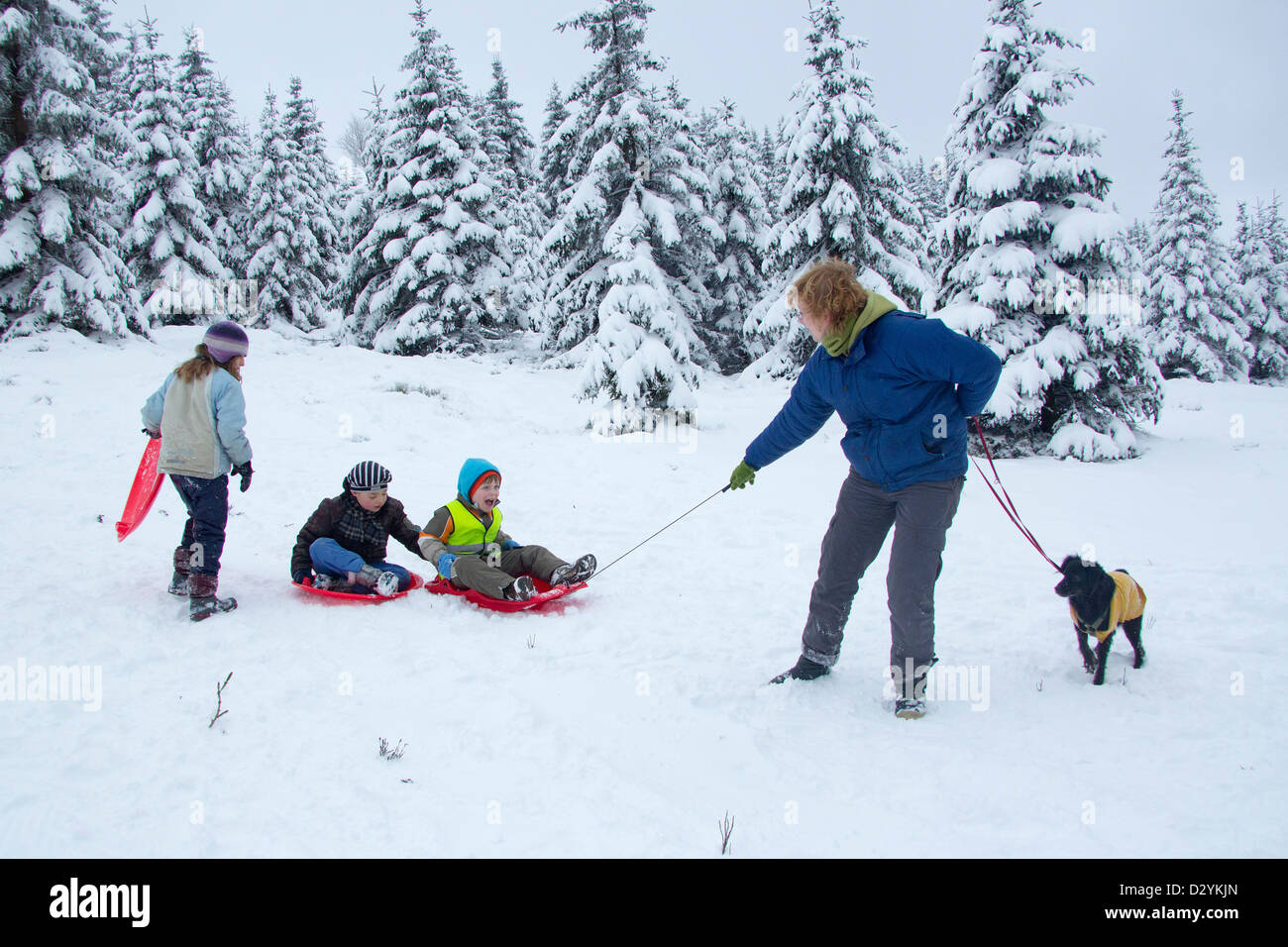 Sledging hi-res stock photography and images - Alamy