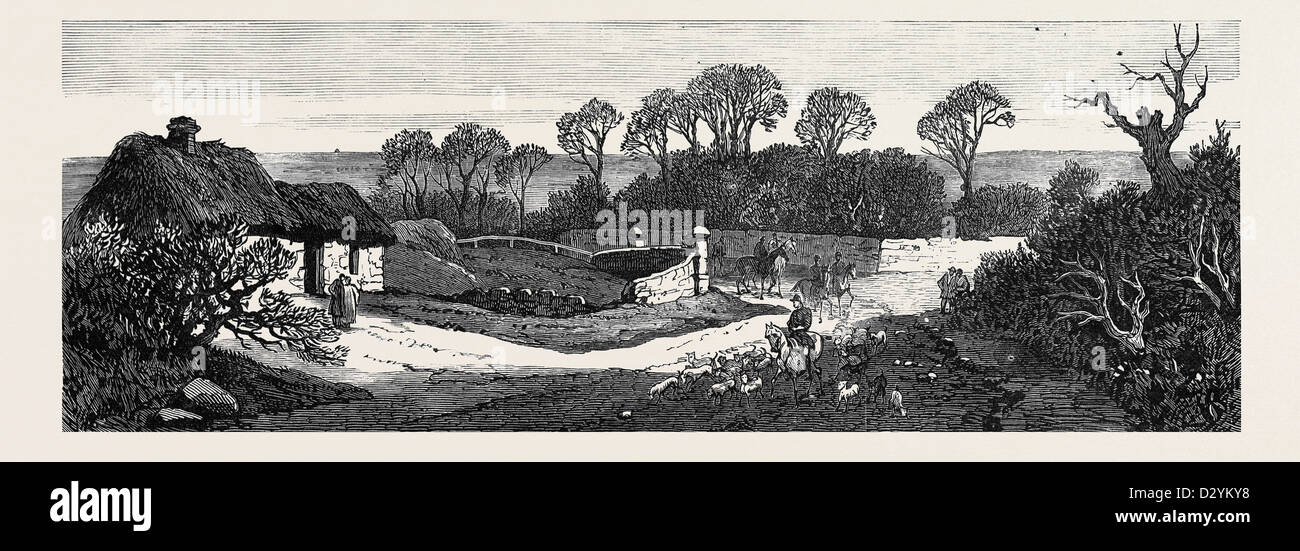 IN THE MEATH HUNTING COUNTRY: A MILE FROM HOLLYWOOD RATH HOUSE EIGHT ...