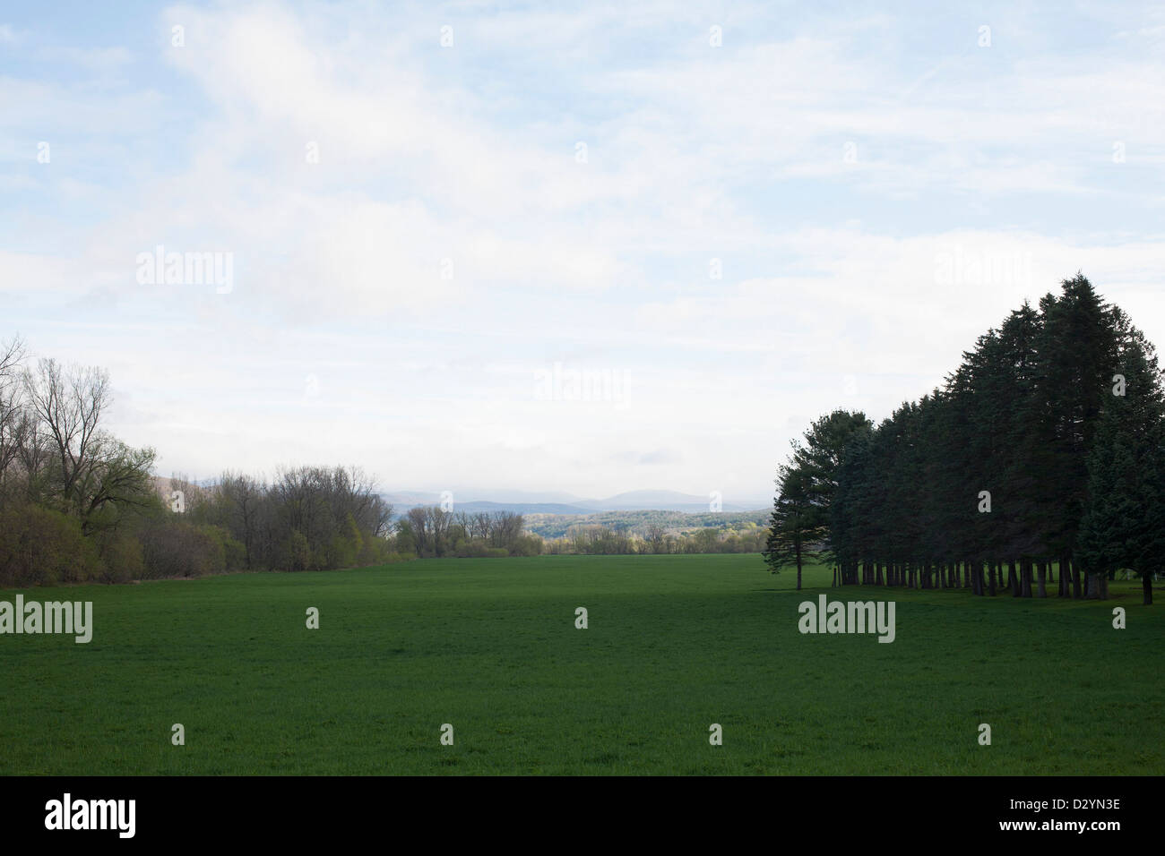 An open hay field is a rich green in the spring Stock Photo - Alamy