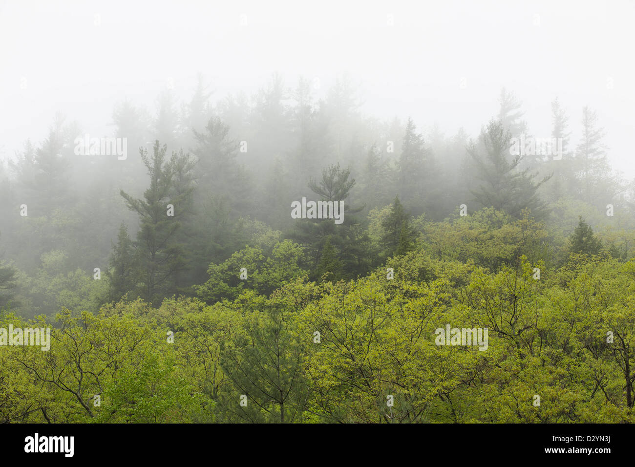 Mohawk trial hi-res stock photography and images - Alamy