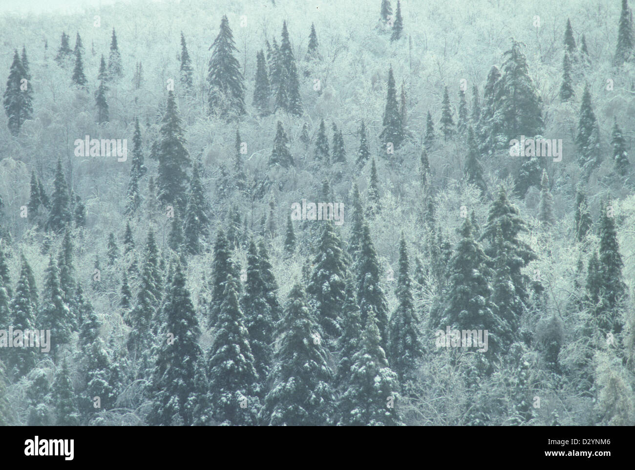 Val david quebec hi-res stock photography and images - Alamy